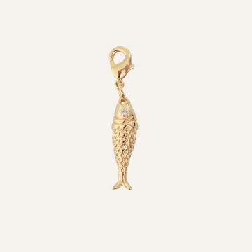 Charm Studio – Blumena